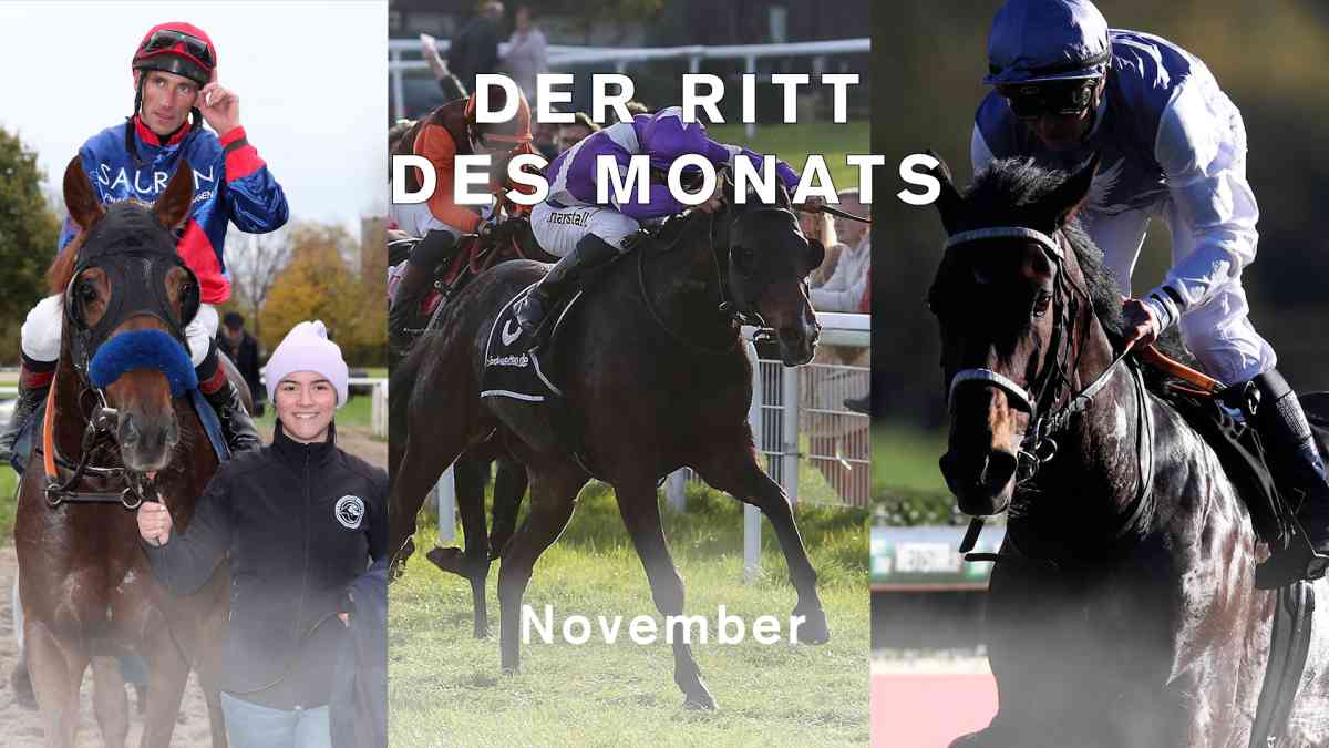 Ritt des Monats November – Hier ist das Ergebnis - GaloppOnline.de