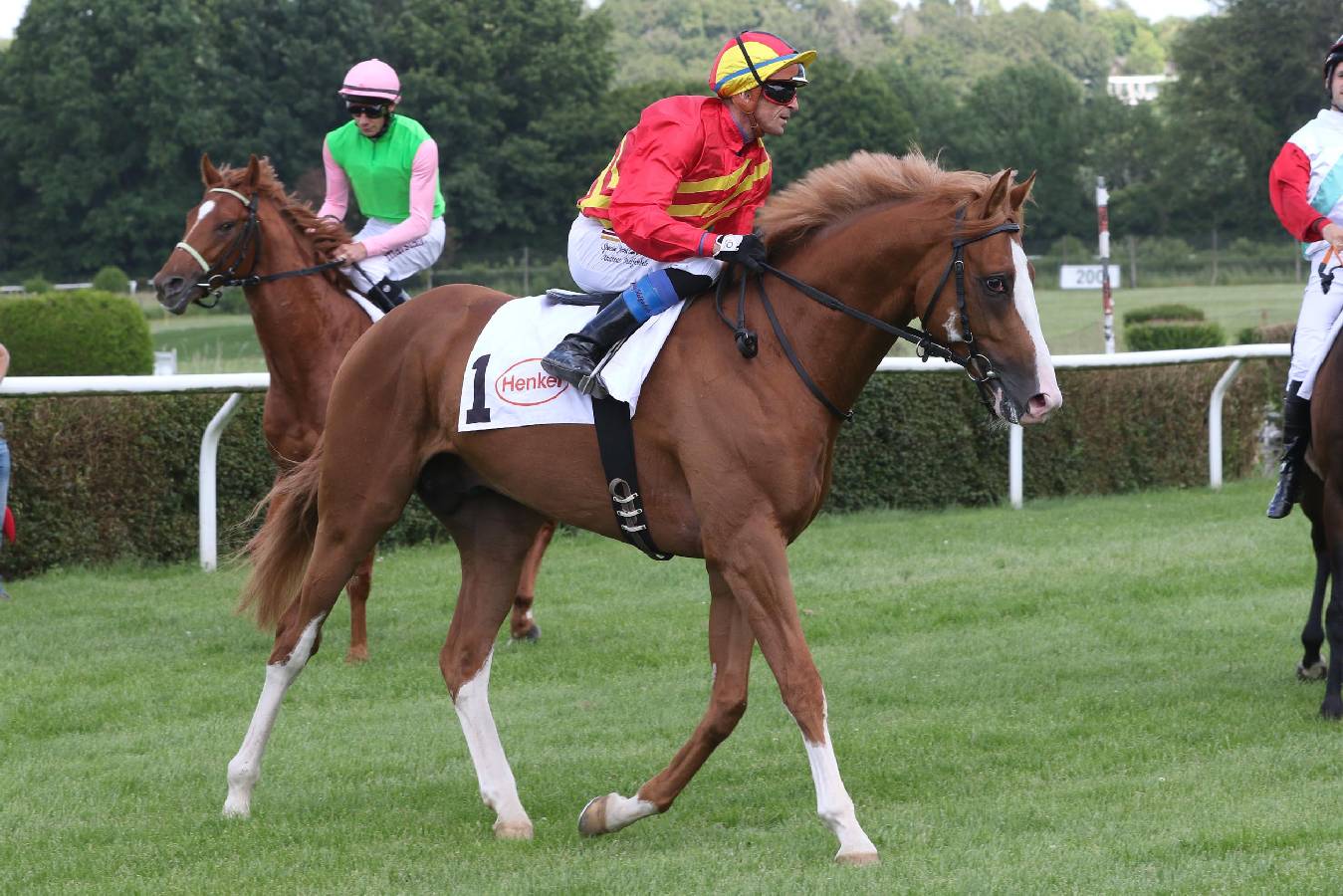 Antinanco mit leichtem Gewicht über 3200 Meter - GaloppOnline.de