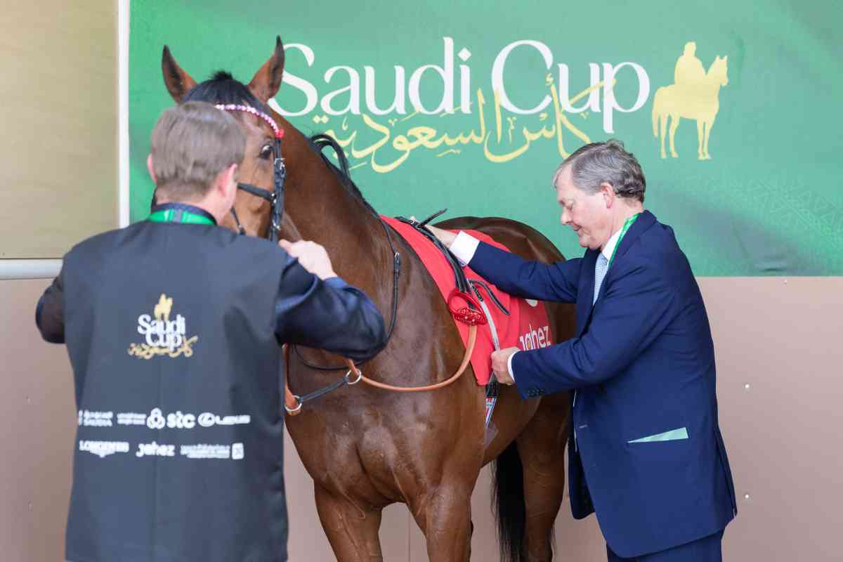 Grocer Jack – Paris statt Köln und Treffen mit Baaeed? - GaloppOnline.de