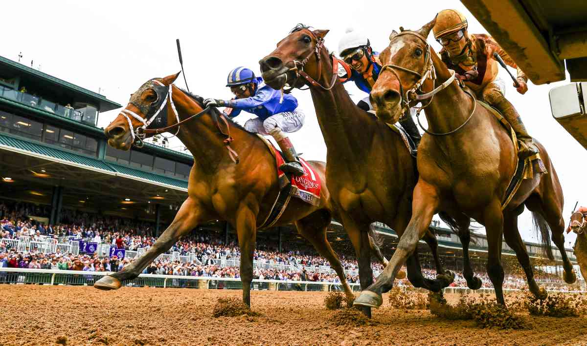 Malathaat gewinnt Distaff-Thriller - GaloppOnline.de