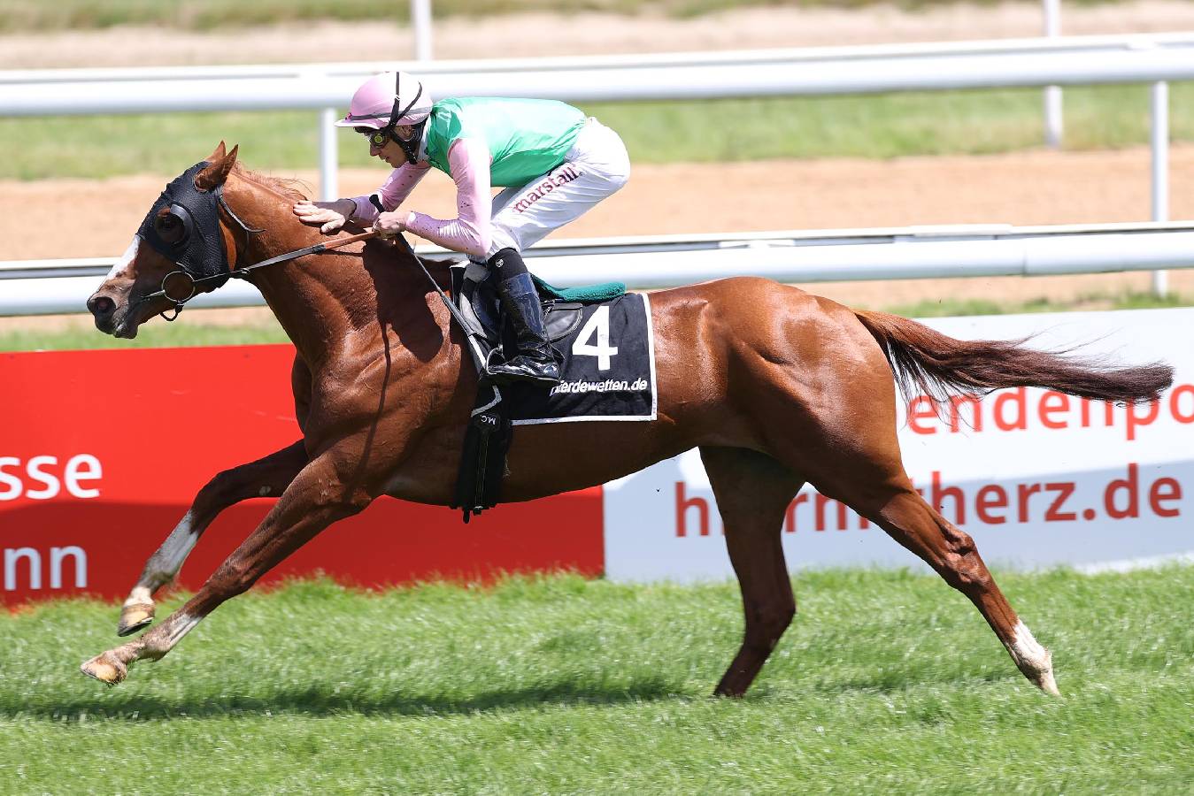 Deutsches Derby: Jetzt auch Malekan raus - GaloppOnline.de