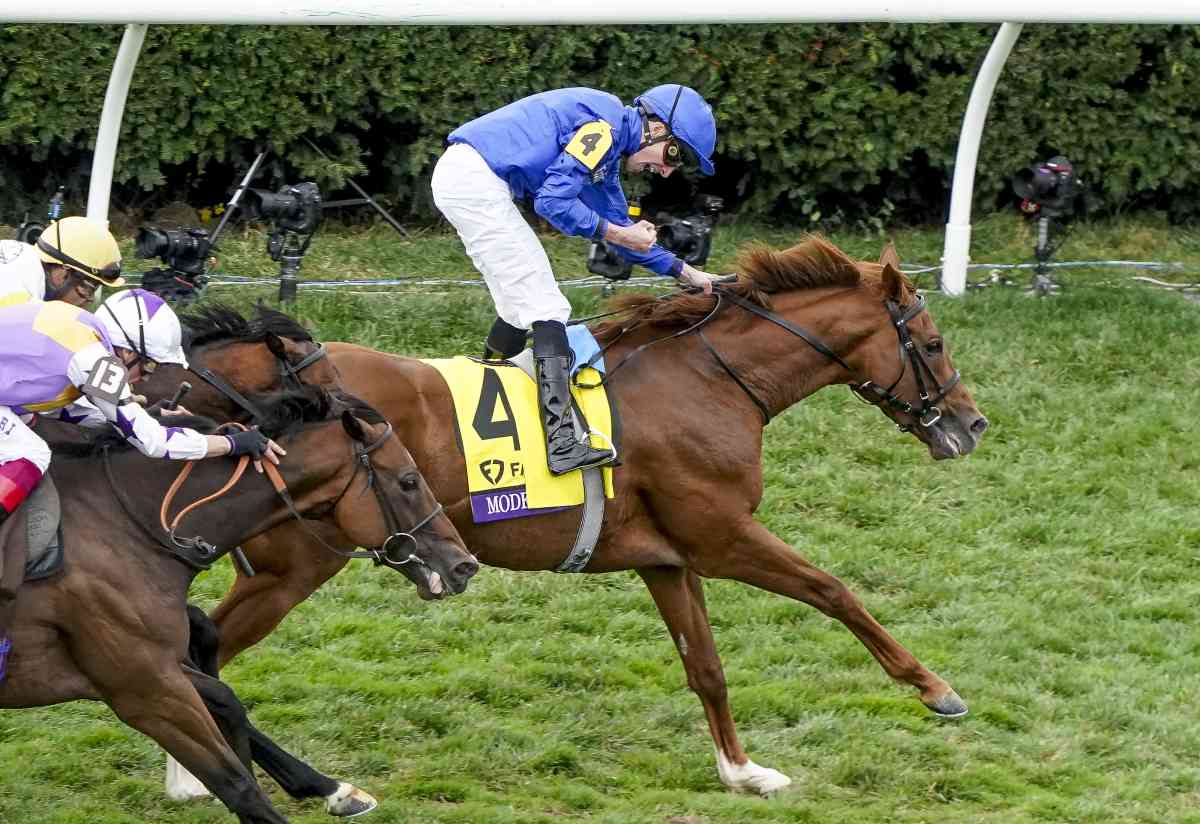 Neue US-Erfolge für Appleby am Wochenende? - GaloppOnline.de