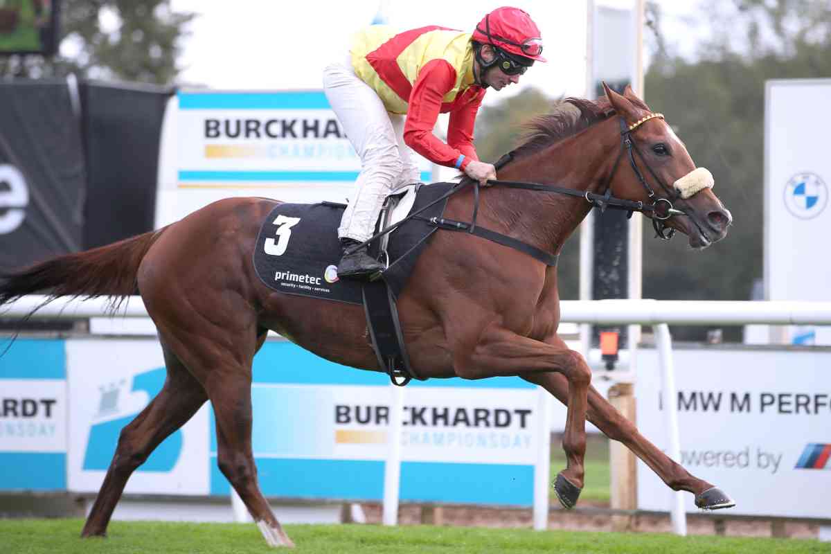 Nicht mehr sieglos – Olpha erstmals „Alpha“ - GaloppOnline.de