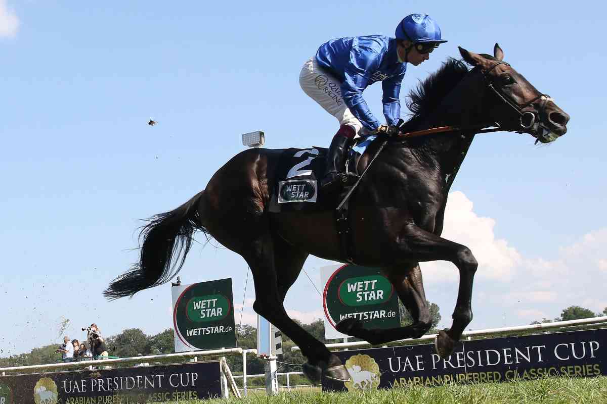 Am Freitag alte Bekannte im Al Rashidiya - GaloppOnline.de