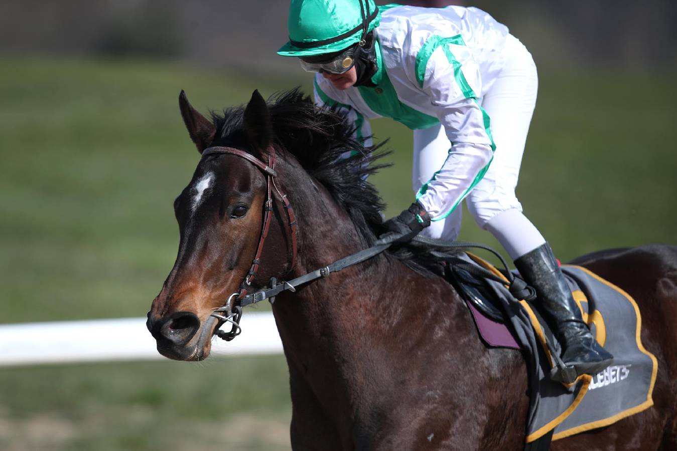 Patty Patch ist der 100. Sieger für Lilli-Marie Engels - GaloppOnline.de