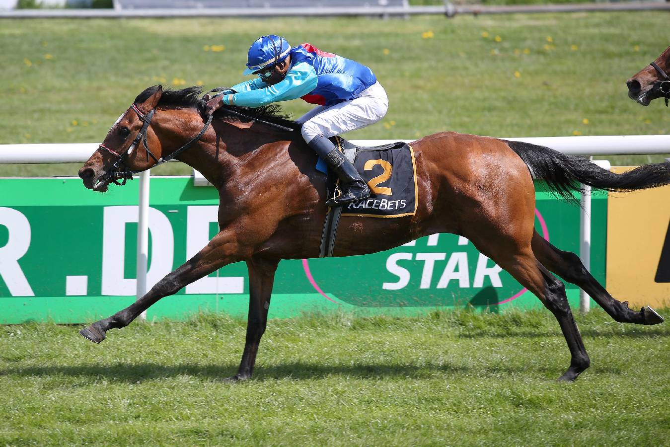 Japan Racing Association übernimmt Derby Trial - GaloppOnline.de