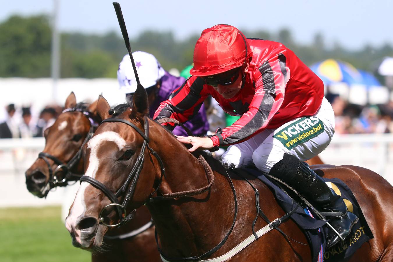 The Ridler soll sich beweisen - GaloppOnline.de