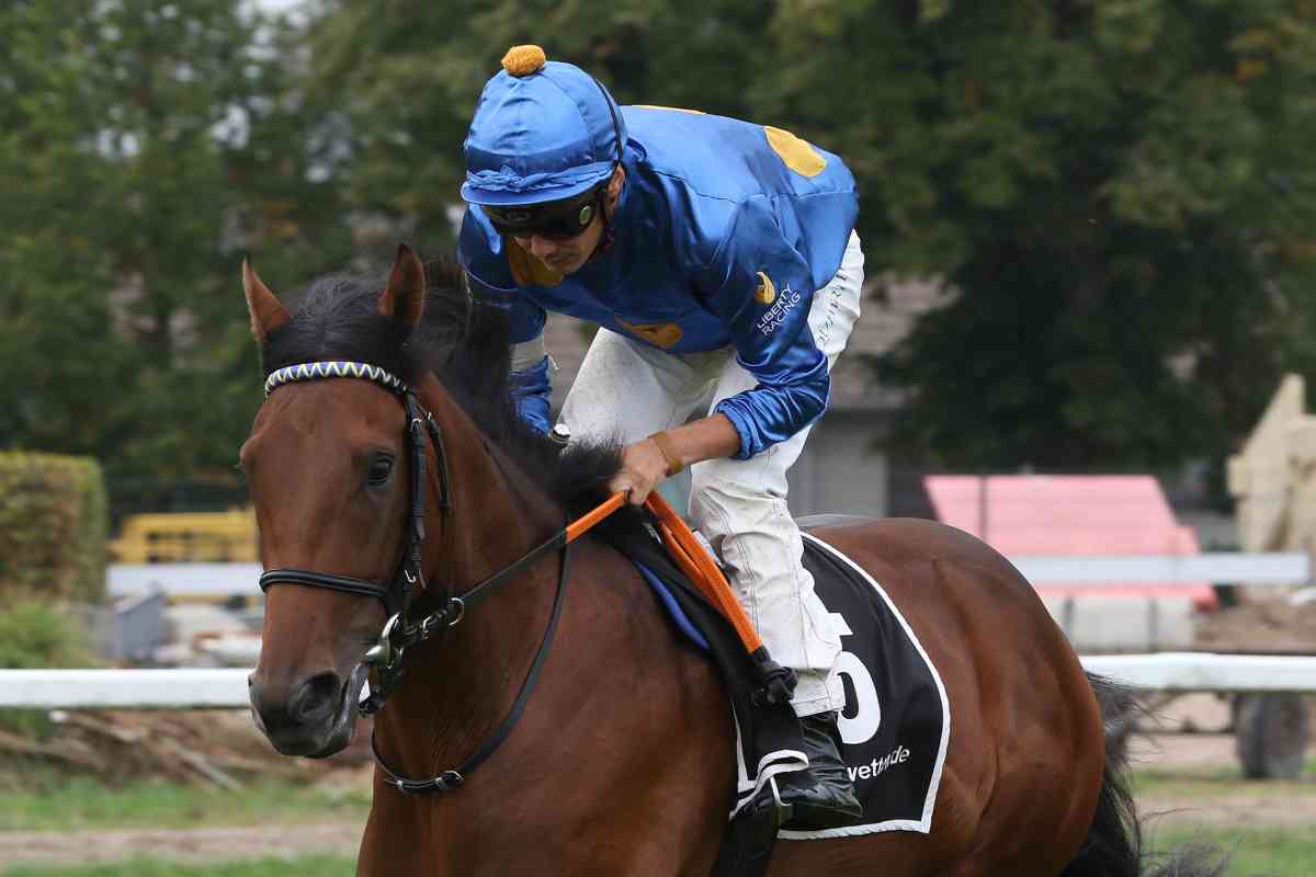 Auch Winning Spirit geht direkt ins Blaue Band - GaloppOnline.de