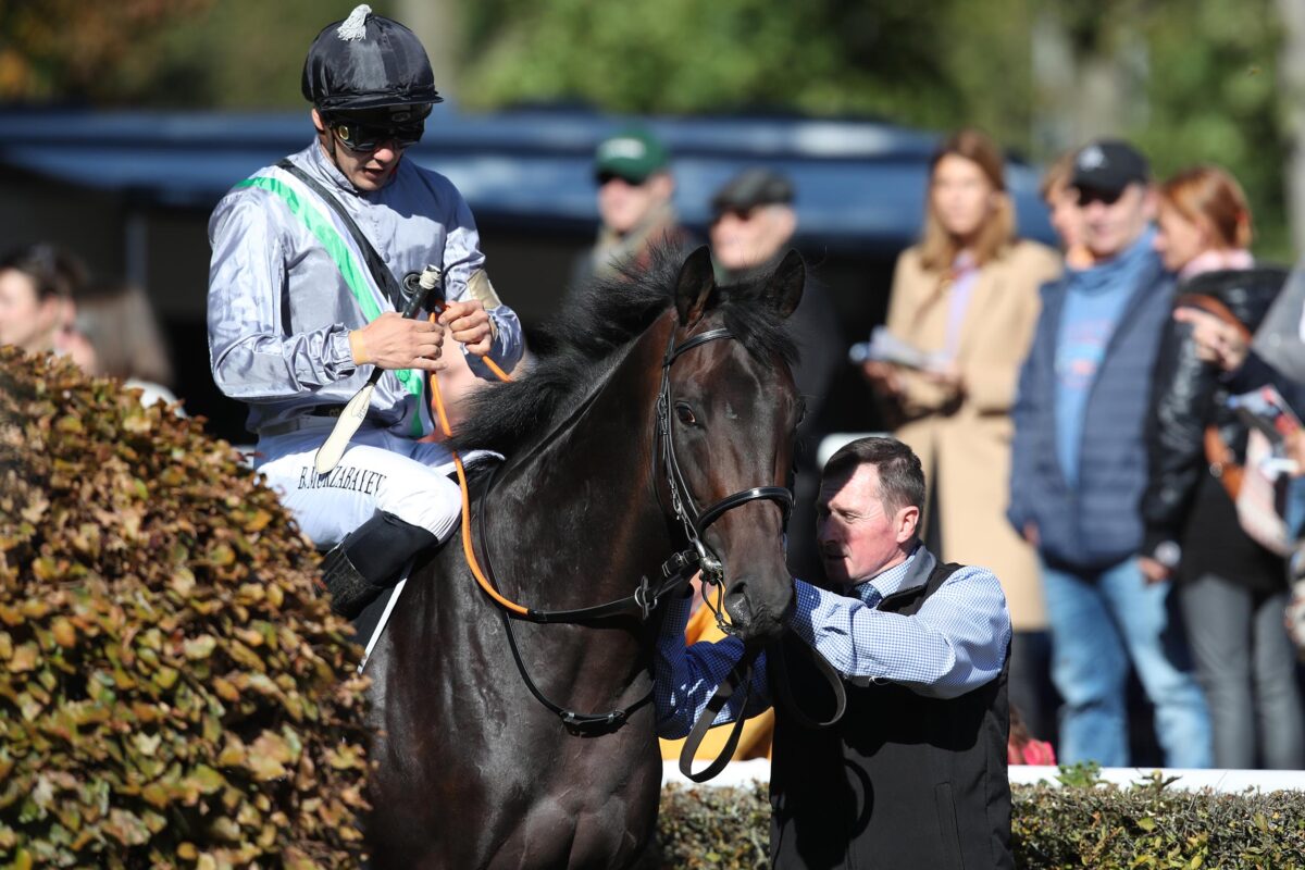 Brave Emperor der Favorit im Busch-Memorial - GaloppOnline.de