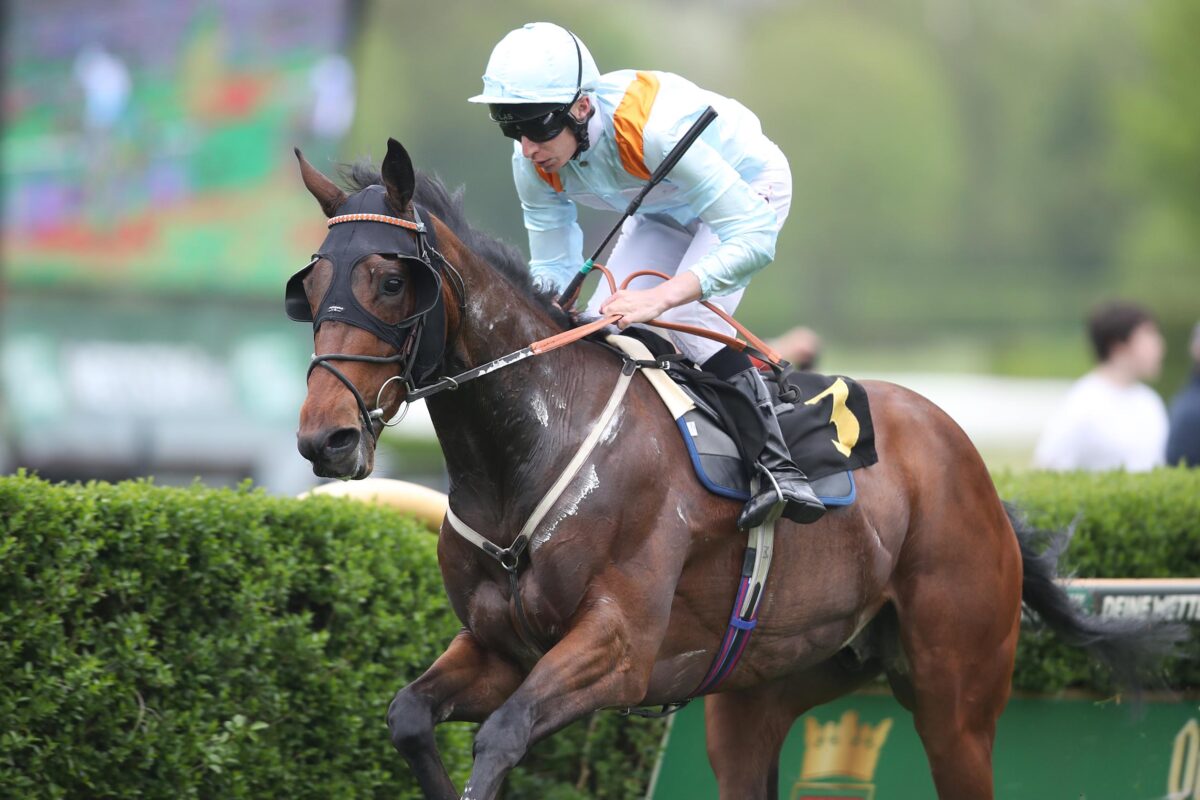 „Crazy“ – Brave Emperor gelingt in Katar internationaler Hattrick ...