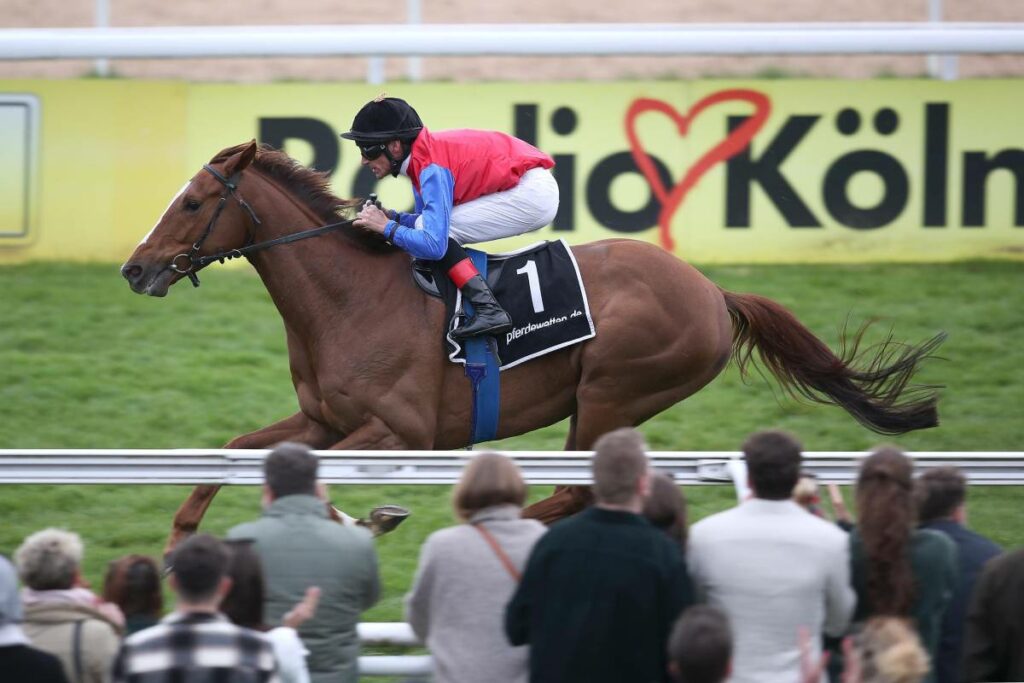 Northern Eagle Starkes dritter Sieger in Köln - GaloppOnline.de