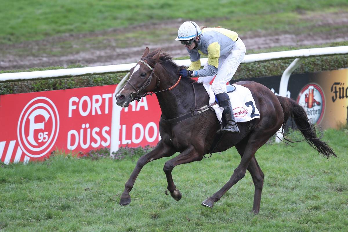 Vespasia-Sieg beschließt ersten Grasbahnrenntag - GaloppOnline.de