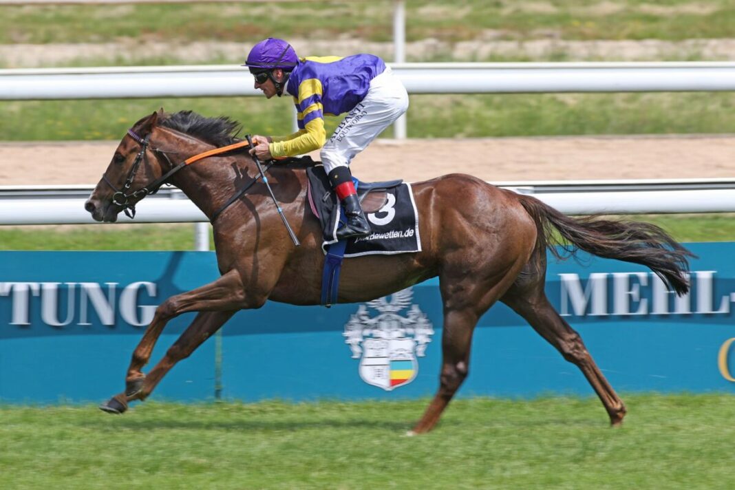 Al Hitmi entführt Dreijährigen-Sprint nach Holland - GaloppOnline.de