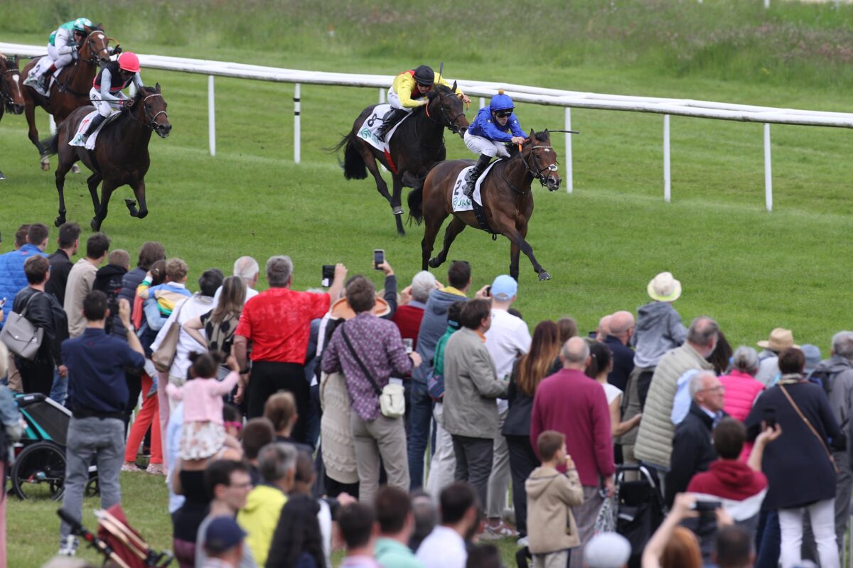 Derby-Trial – Das sagen die Platzierten - GaloppOnline.de