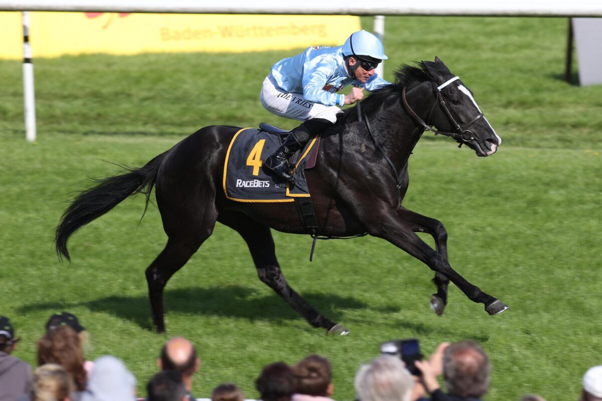 Endlich Shaikan beim 14. Start: „Der Jockey hat nur geflachst ...