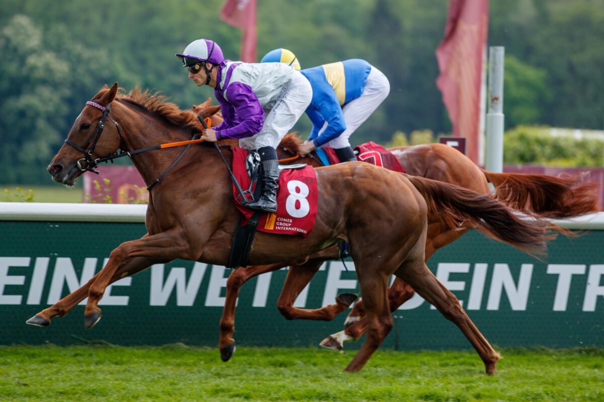 Nachtrose am Samstag in Haydock in den Lester Piggott Stakes ...