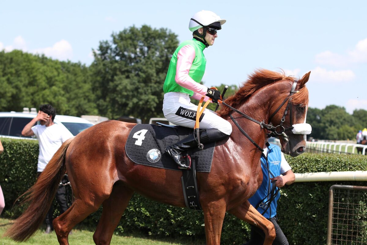 Leon Wolff: Sechs Monate Pause mit Kreuzbandriss - GaloppOnline.de