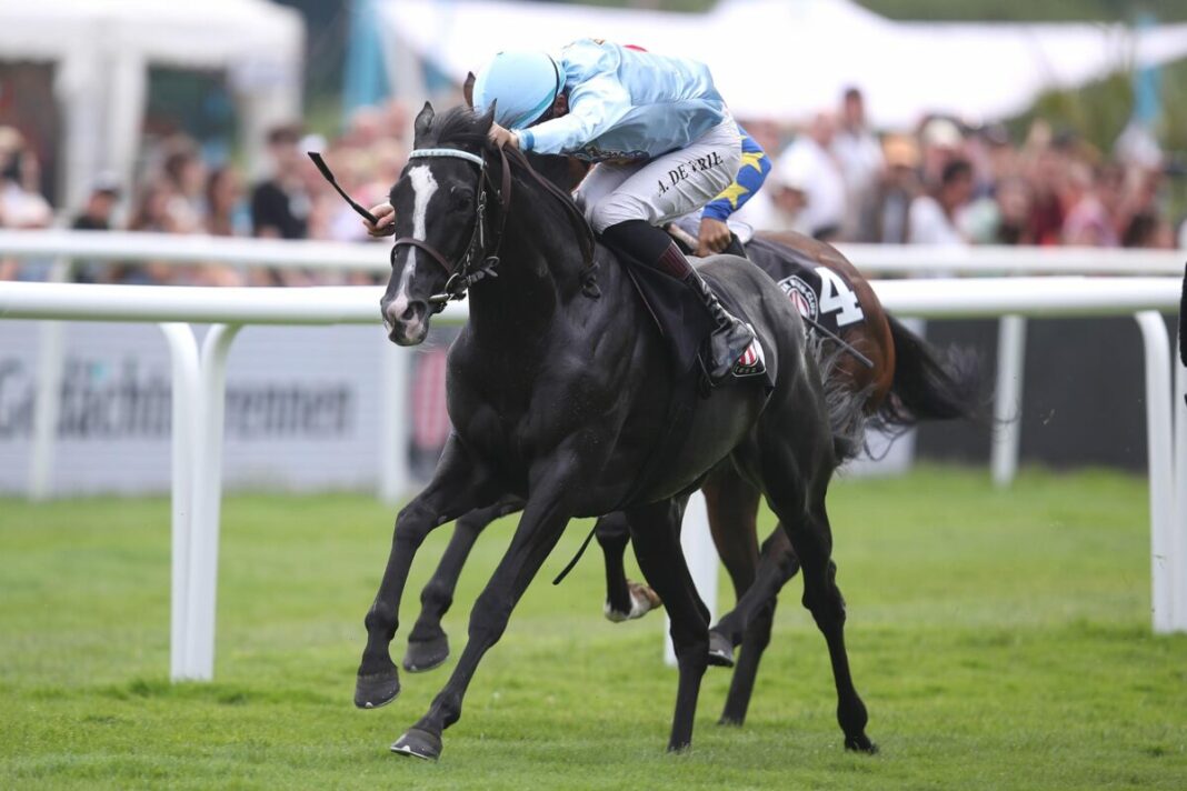 Shaikan gewinnt Wimpernschlagfinale gegen Sky Emperor - GaloppOnline.de