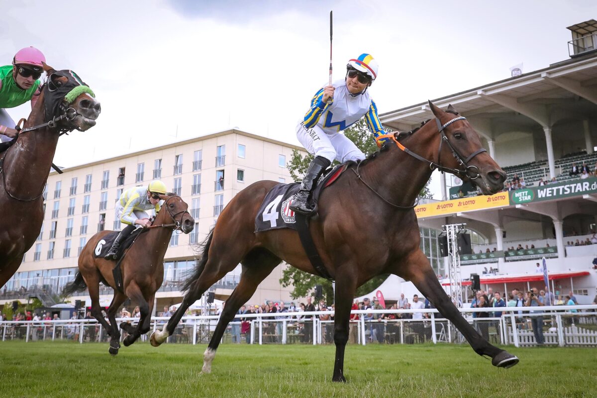 Diesmal gleich dabei – Clever Candy gewinnt „Lotto-Preis“ - GaloppOnline.de