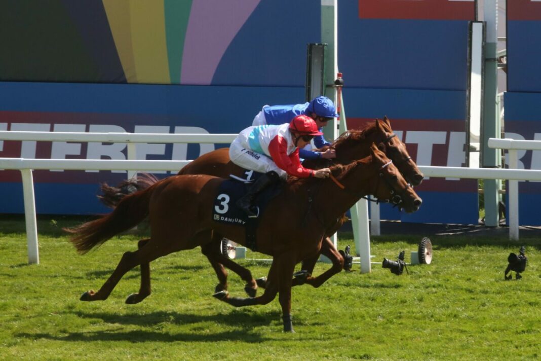 Tünnes im Grand Prix de Saint-Cloud? - GaloppOnline.de