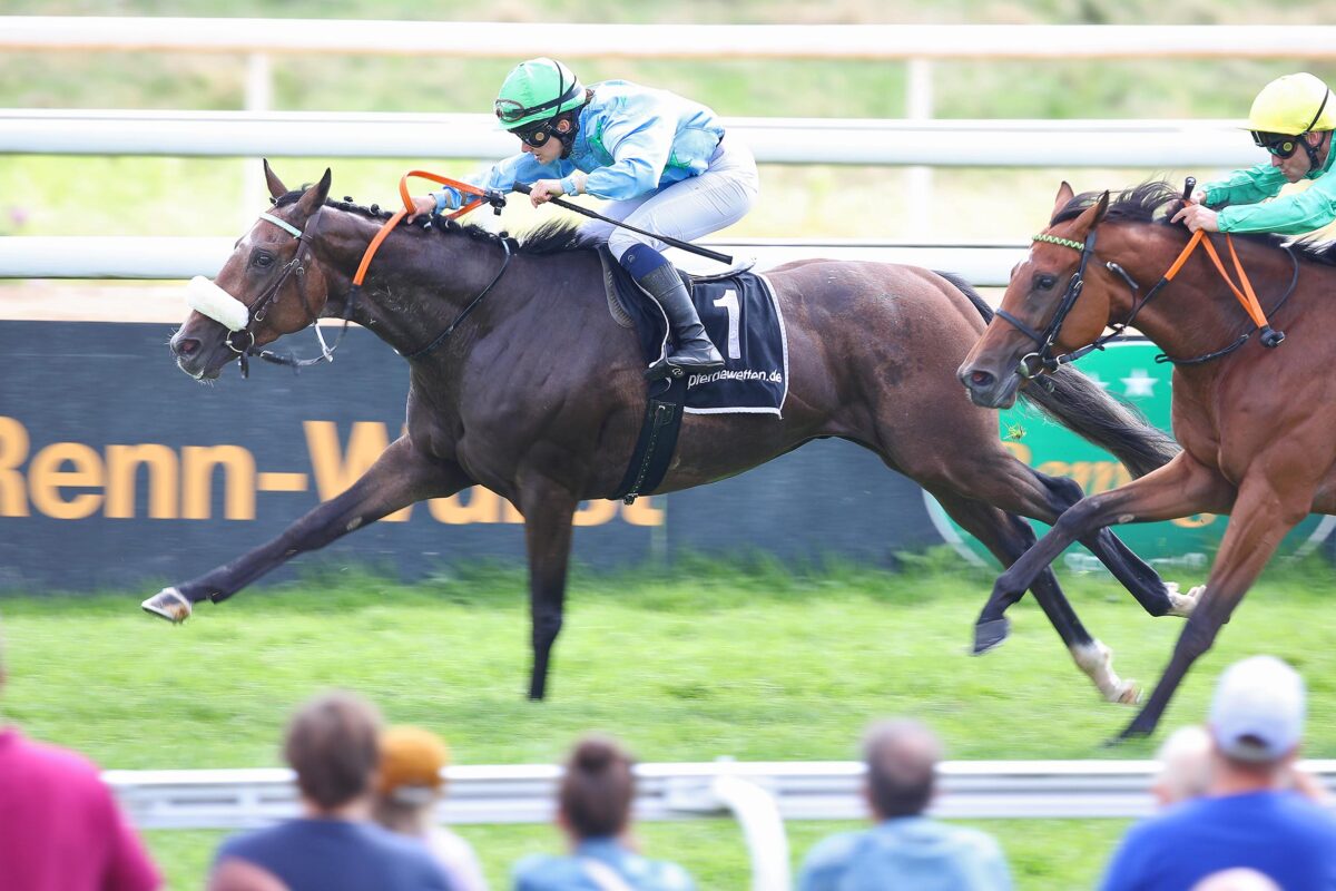 Nachtgeist Dritter bei Padre Palou-Sieg - GaloppOnline.de