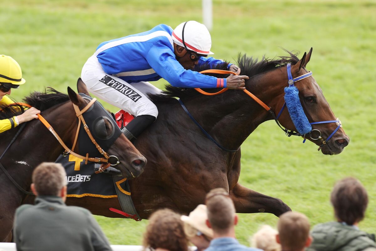 Nach zehn Platzierungen in Serie ist Royal Emerther an der Reihe ...