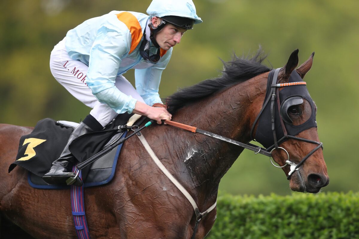 Brave Emperor macht Schluss und geht zu Luke Morris und Familie ...