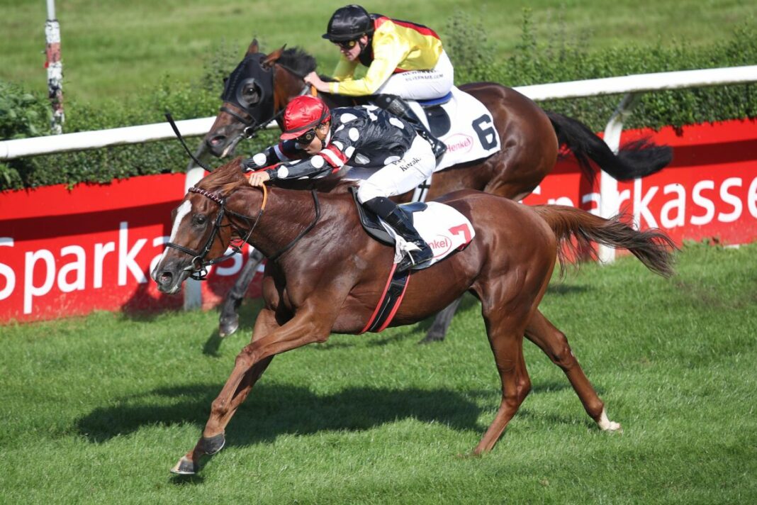 Nerion der erste Deutschland-Sieger für Ryoya Kozaki - GaloppOnline.de