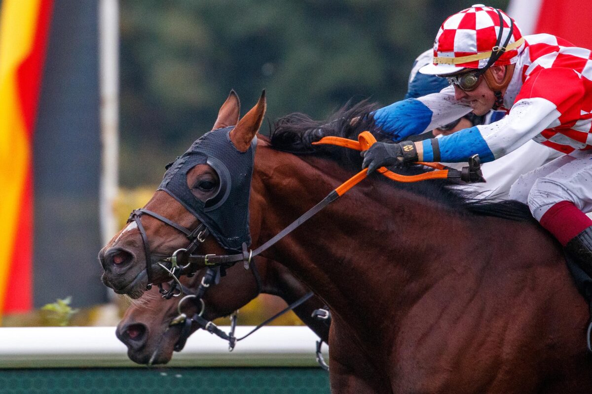 Hanning und Rakic auch über 2000 Meter treffsicher - GaloppOnline.de