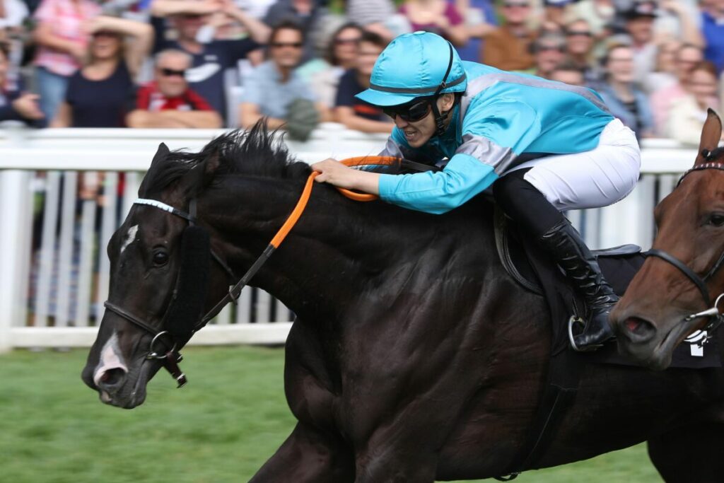 Ex-Deutscher Alexei gewinnt Hindernis-Debüt mit 25 Längen - GaloppOnline.de