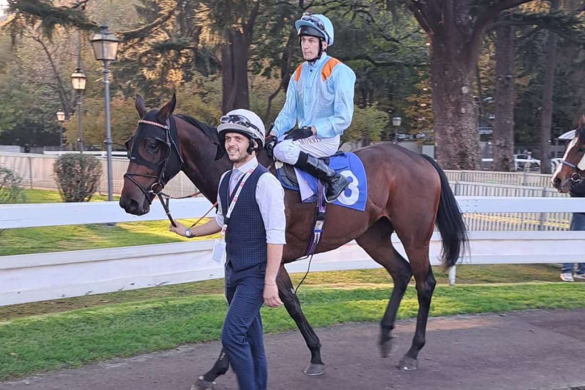 Brave Emperor siegt auch in Mailand, Westminster Night Dritter ...