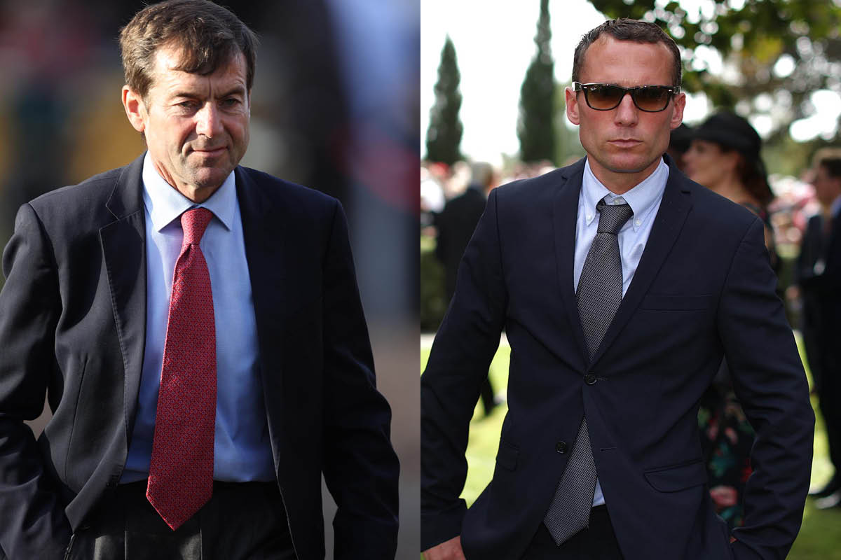 Zweikampf bis zum Schluss oder Dreikampf? – Arcandi bringt Schiergen ...