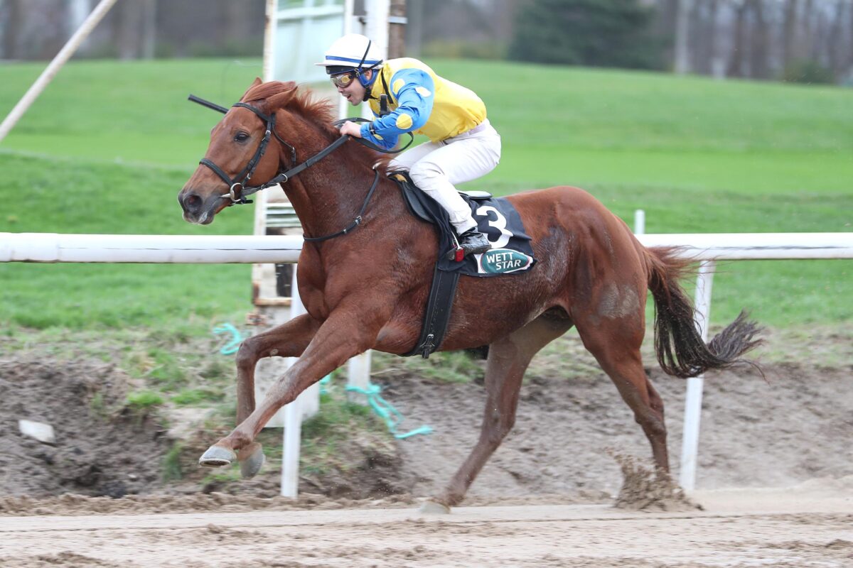 Schael macht den Deckel drauf – Schiergen ist Trainer-Champion 2023 ...
