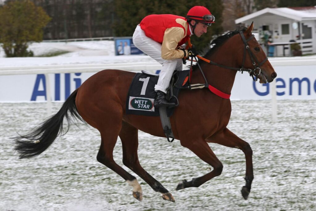 Mister Fernando: der fleißigste Zweijährige seit 2019 - GaloppOnline.de