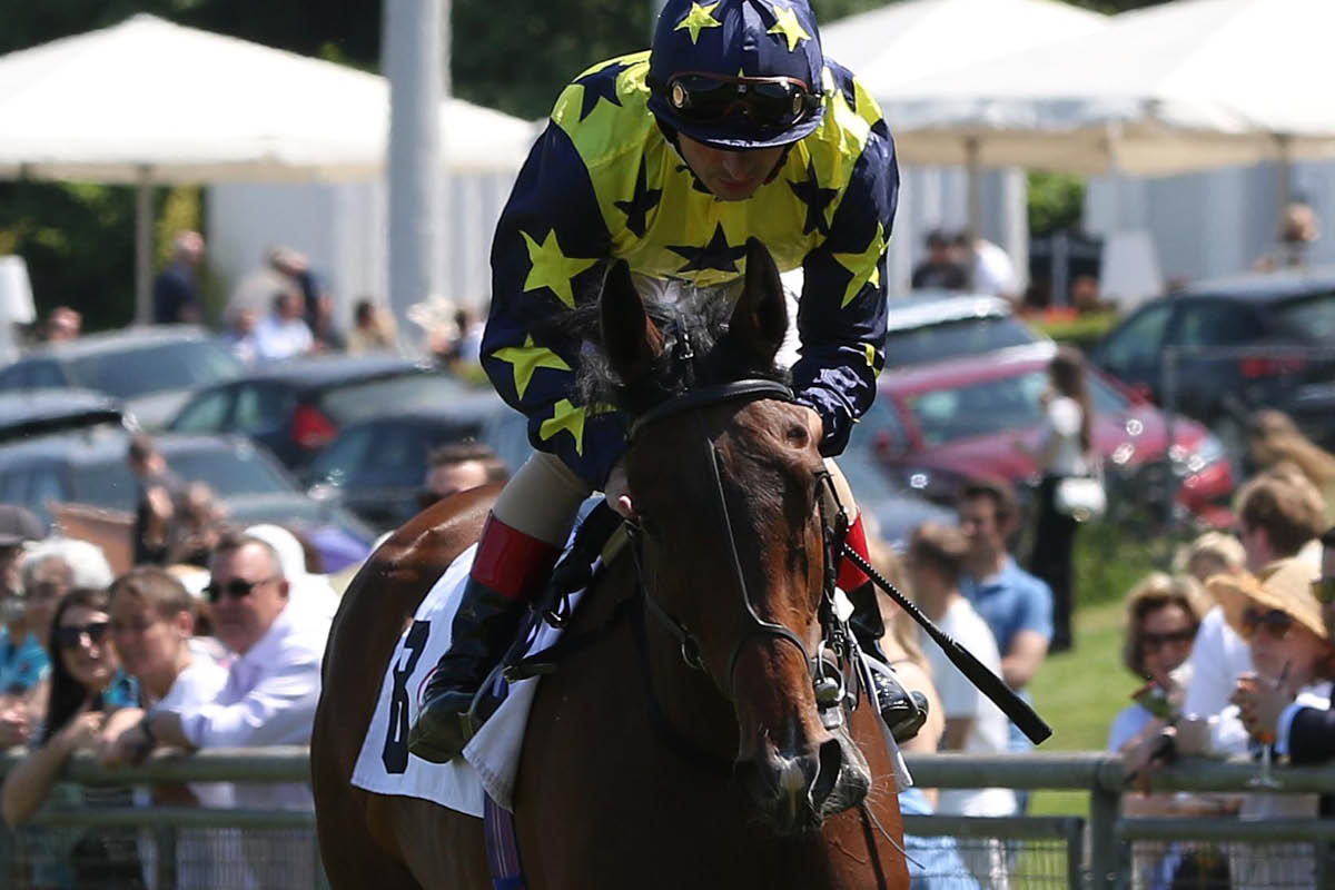 Guineas-Zweite Stenton Glider am Freitag im Cape Verdi? - GaloppOnline.de