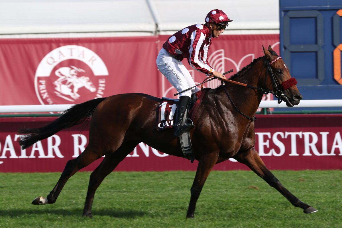 Carl Jaspers Preis: 15 Nennungen, 5 aus dem Ausland - GaloppOnline.de