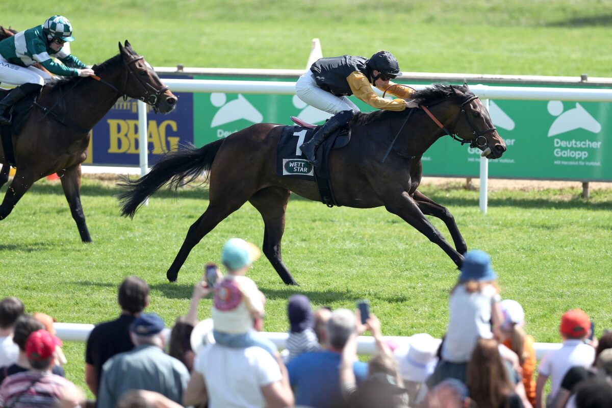 Armira: Düsseldorf statt „Glorious Goodwood“ - GaloppOnline.de