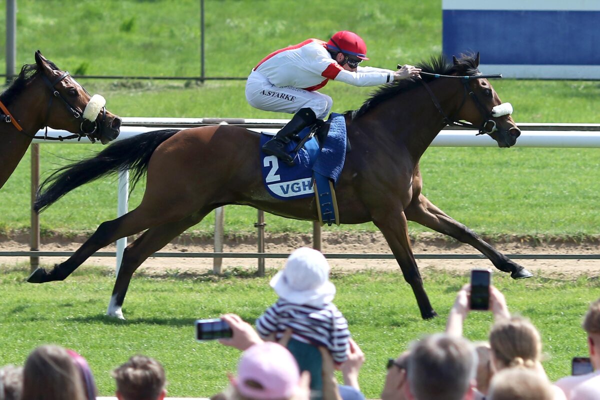 Danelo „stürmt“ in Zukunft für den Stall Fortuna 95 - GaloppOnline.de