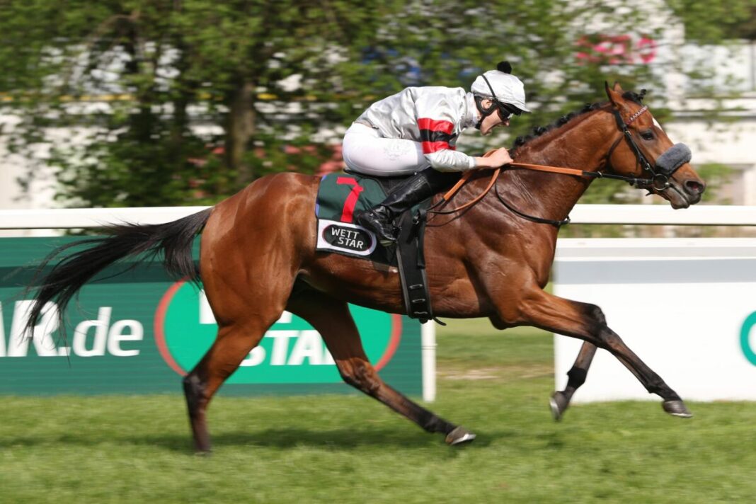 Wolffs erster Gruppesieg: Wilko gewinnt Bavarian Classic - GaloppOnline.de