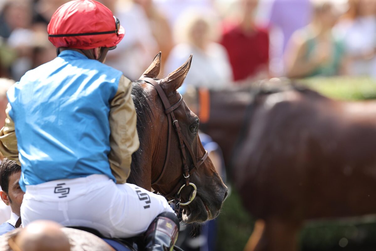 Wathnan Racing im großen Kaufrausch – Viele Käufe vor Royal Ascot ...