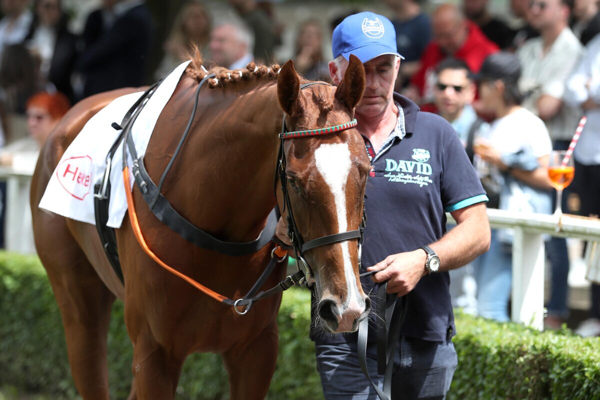 Ein Brite für Sweet Summer – Erster Diana-Jockey steht fest ...