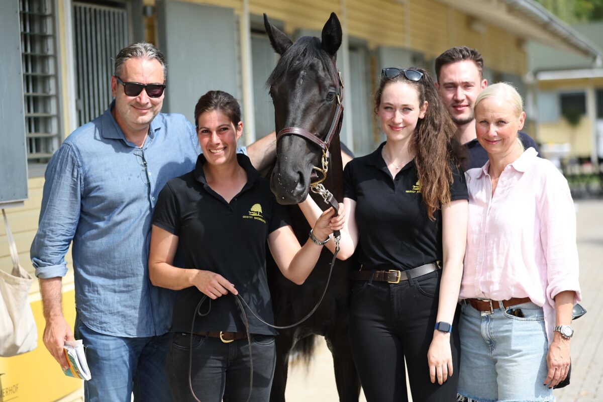 Brümmerhof vor Fährhof und Park Wiedingen – Die Top-Verkäufer der BBAG ...