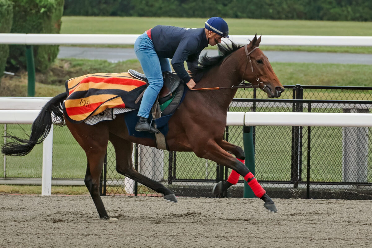 Goliath bald in Hong Kong – Vorfreude auf ein Rennen mit Geschichte ...