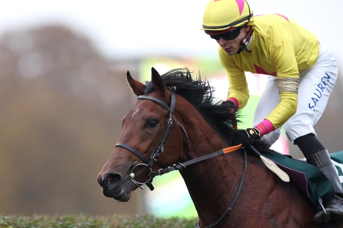 Pompeo Dream: Rom statt Krefeld - GaloppOnline.de