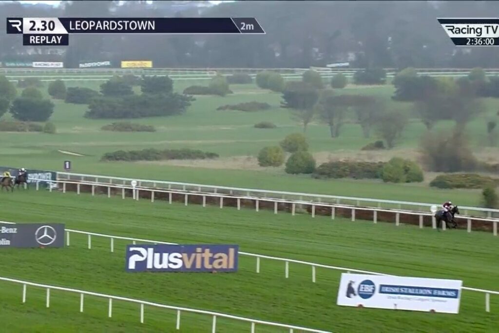 30 Längen! Brighterdaysahead mit großer Zukunft - GaloppOnline.de