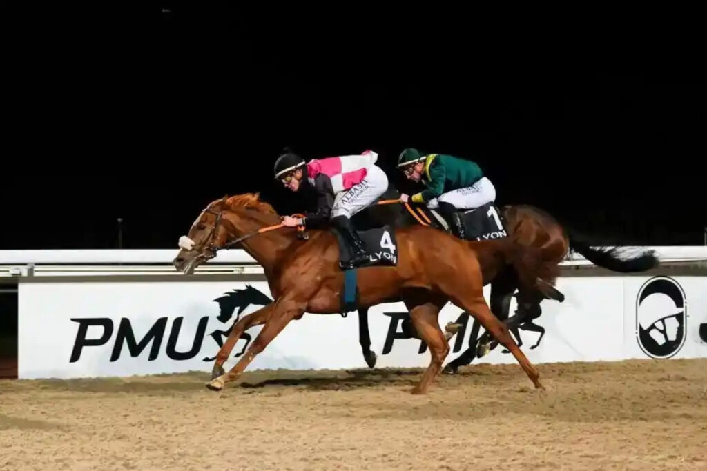 Australien-Debüt für Nearco Frod - GaloppOnline.de