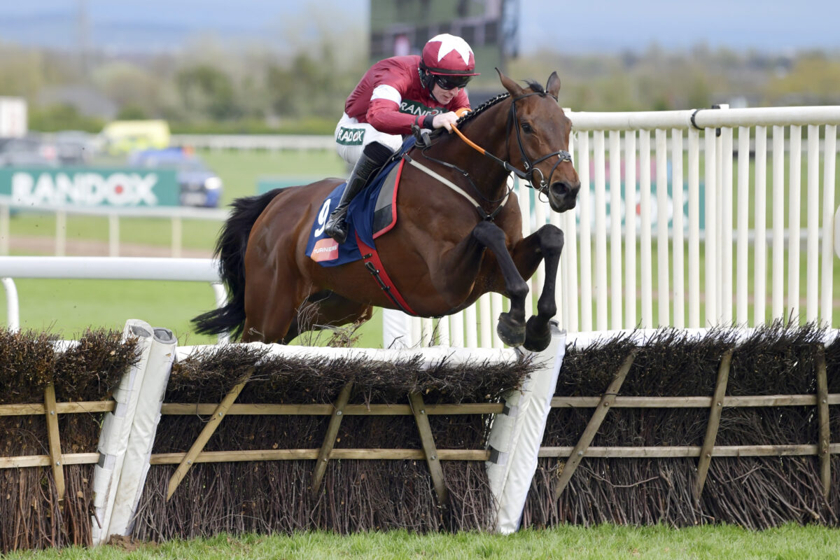 Brighterdaysahead gelingt im Irish Champion Hurdle Revanche an ...