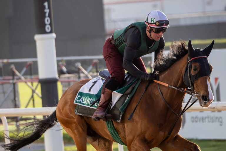 Calandagan gewinnt die „King George“ – Erinnerungen an das Jahr 2024 ...