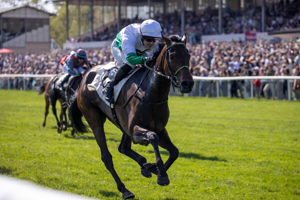 Quiara im Ausgleich III mit Speed erfolgreich - GaloppOnline.de