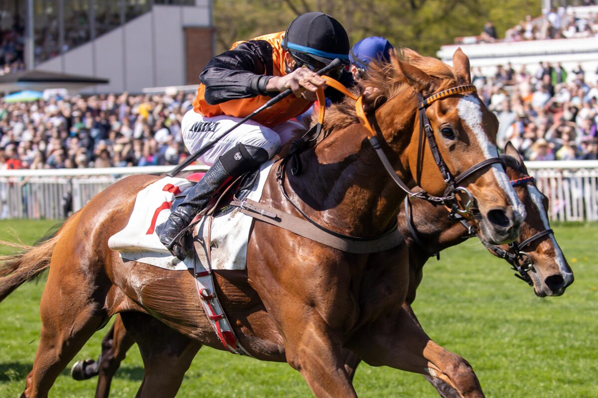 Venedig sorgt für Heimsieg: Germanius-Zweierwette bei den Dreijährigen ...